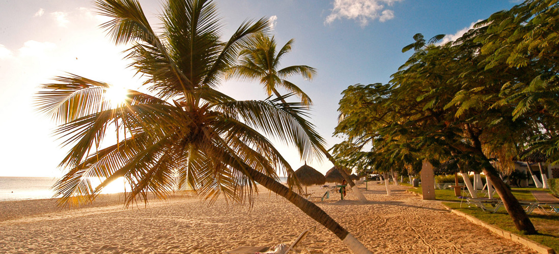 Resor till Aruba – Västindienspecialisten