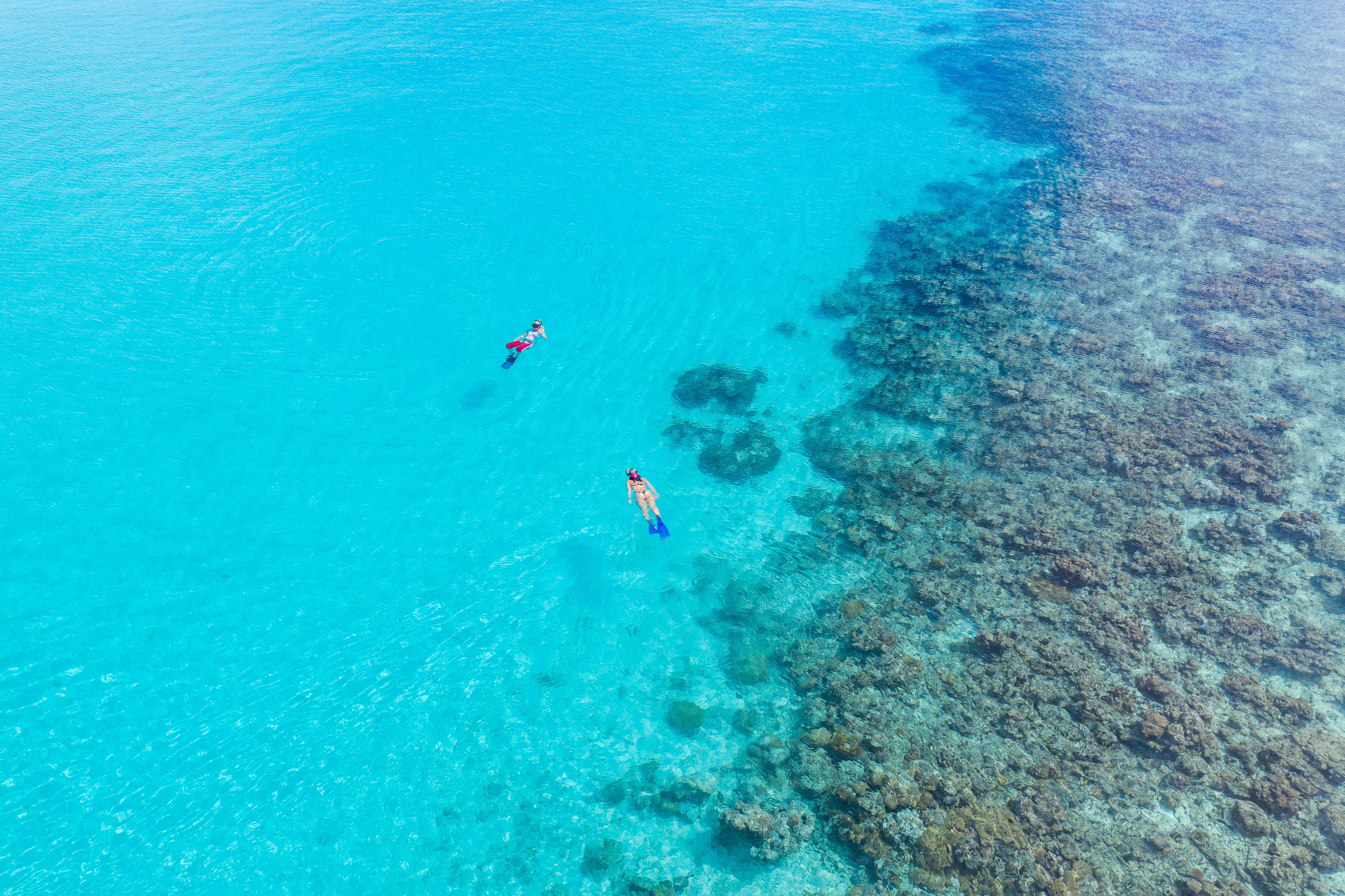 Resor till Maldiverna – Västindienspecialisten